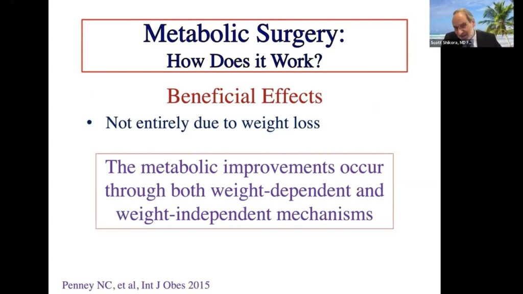 The FELLOW Project: Mechanisms of Action of Metabolic/Bariatric Surgery ...