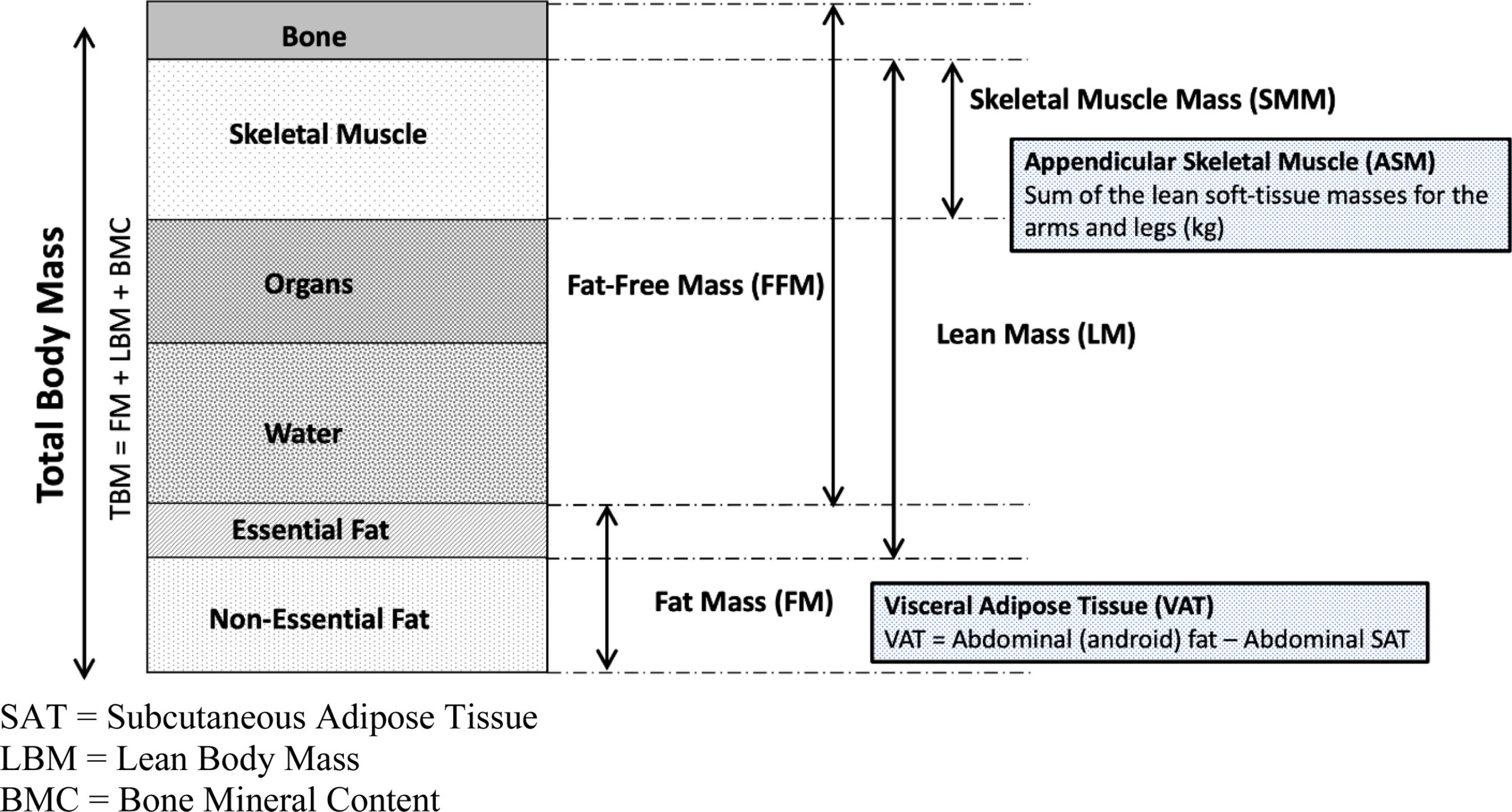 ASMBS Review of Body Composition - American Society for Metabolic and ...