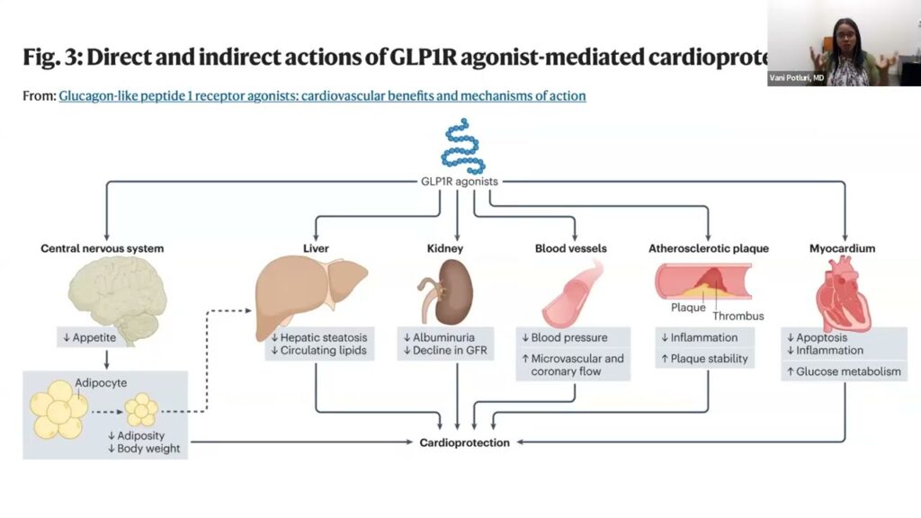 North American Chapter of IFSO - Cardiovascular Risk Reduction from GLP ...